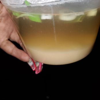 FUSION JAPANESE AND THAI - Updated December 2025 - 36 Photos & 78 ...