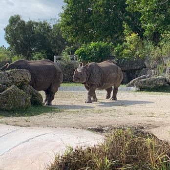 ZOO MIAMI - Updated April 2024 - 3457 Photos & 965 Reviews - 12400 SW ...