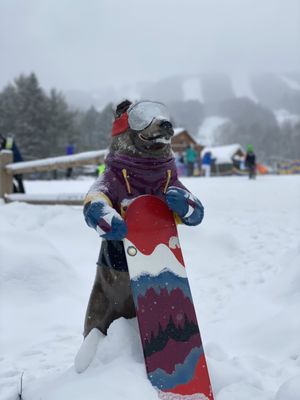 WINDHAM MOUNTAIN CLUB - Updated November 2024 - 133 Photos & 127 ...