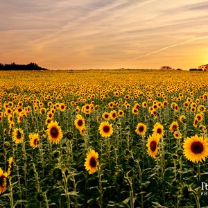 Spring Meadows Farm - Reserve Now - Attraction Farms - Updated June ...