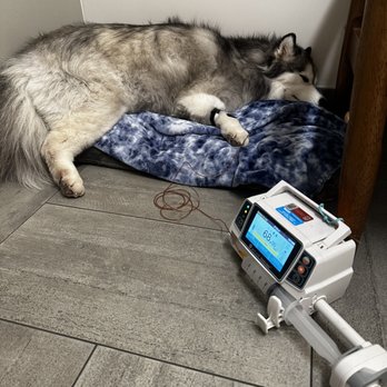 SKIPTOWN - Updated June 2024 - 167 Photos & 97 Reviews - 222 Rampart St ...