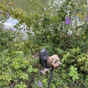 STIGLMEIER PARK - Updated September 2024 - 176 Photos & 37 Reviews ...