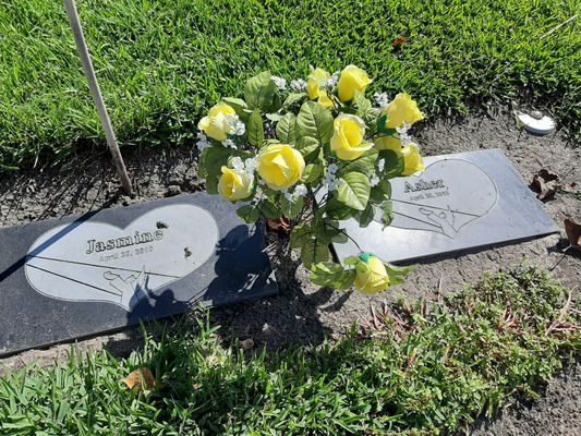 EL TORO MEMORIAL PARK - Updated September 2024 - 87 Photos & 28 Reviews ...