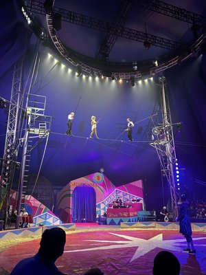 CIRCUS FLORA - Updated January 2026 - 67 Photos & 31 Reviews - 3401 ...