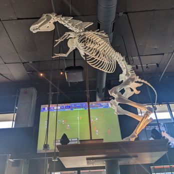 PONYSAURUS BREWING CO - Updated June 2025 - 82 Photos & 60 Reviews - 2221 Iron Works Dr, Raleigh ...