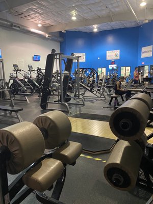 LEE COUNTY YMCA - Updated August 2025 - 18 Photos - 1360 Royal Palm ...
