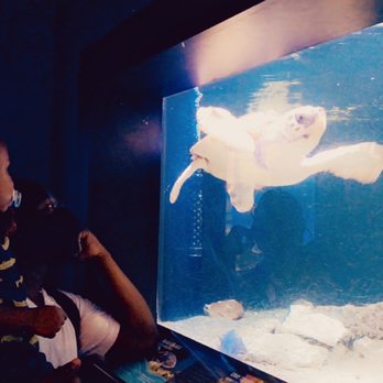 UGA MARINE EDUCATION CENTER & AQUARIUM - Updated August 2025 - 66 ...