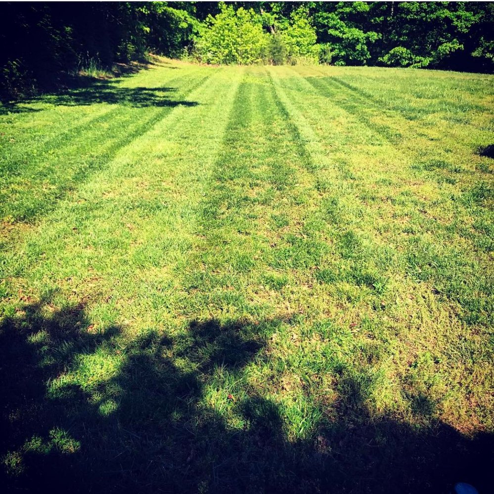 PRISTINE LAWNS - Updated April 2025 - Mechanicsville, Virginia - Lawn ...