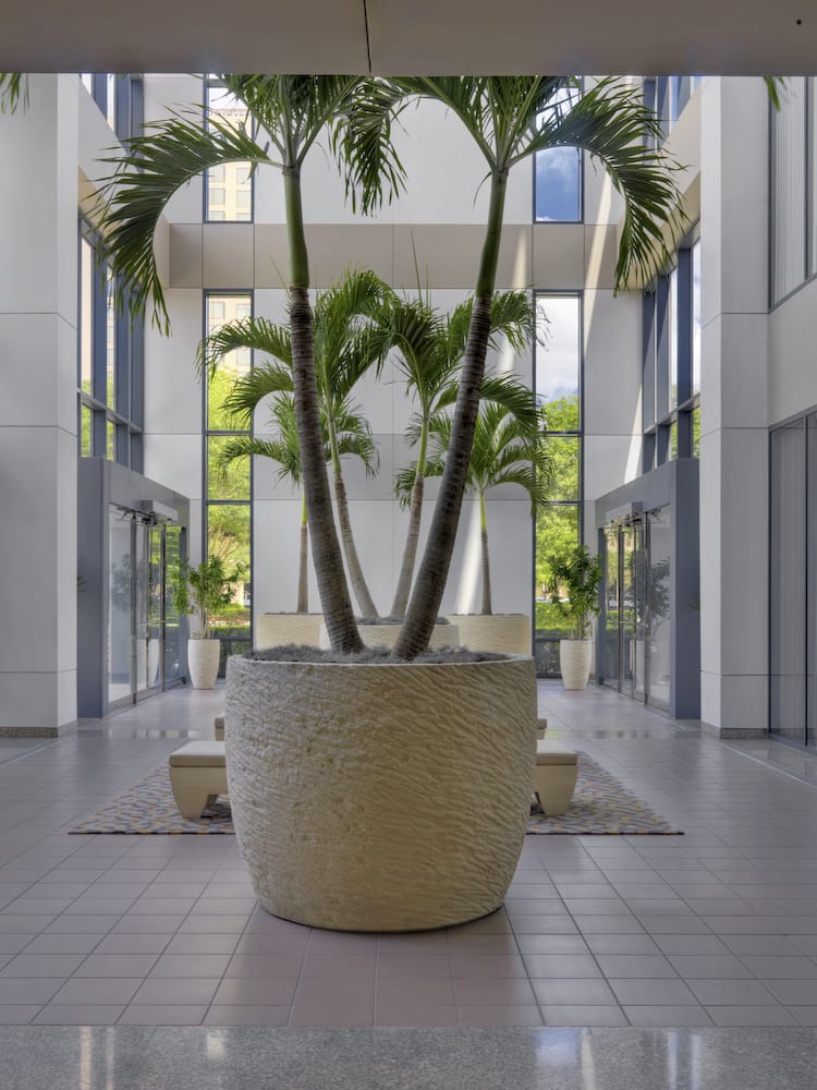 PLANT INTERSCAPES - Updated 2024 - 1117 Hendricks, Corpus Christi ...