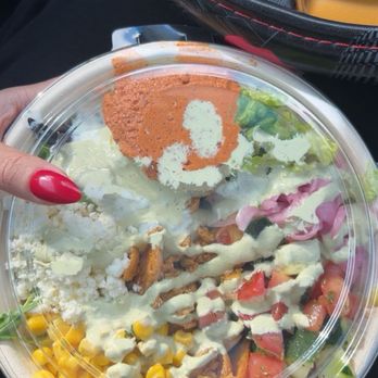 WILD PITA - Updated January 2026 - 16 Photos & 28 Reviews - 1437 ...