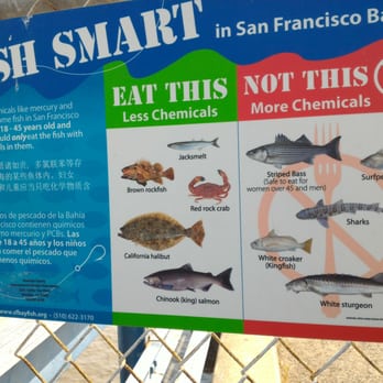 DUMBARTON PIER - Updated July 2025 - 99 Photos & 18 Reviews - 9500 ...