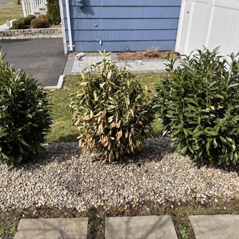 ANTHONY FISCHETTI LANDSCAPING - Updated October 2025 - Clark, New ...