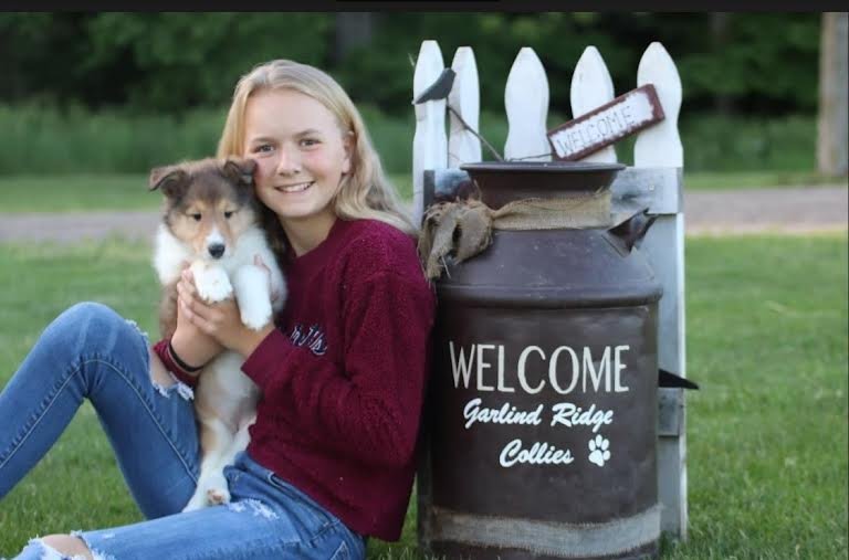 GARLIND RIDGE COLLIES - Updated May 2025 - Blanchardville, Wisconsin ...