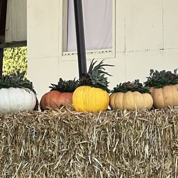 R A M FARMS PUMPKIN PATCH AND CORN MAZE - Updated December 2025 - 81 ...
