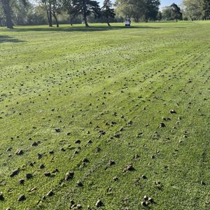 DIVOTS DRIVING RANGE - Updated June 2025 - 6200 Angola Rd, Holland ...