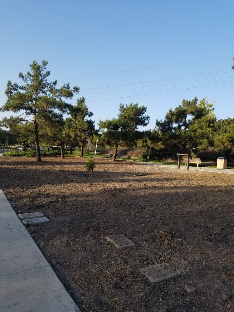 SCRIPPS RANCH VILLAGES BUTTERFLY PARK - Updated August 2025 - 31 Photos ...