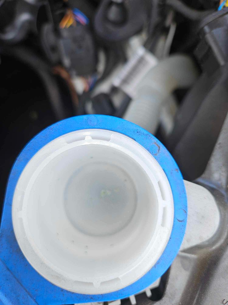 DIRITO BROTHERS WALNUT CREEK VOLKSWAGEN - Updated January 2025 - 105 ...