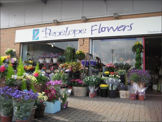 PENELOPE FLOWERS - Kings Square, Belfast, United Kingdom - Florists ...