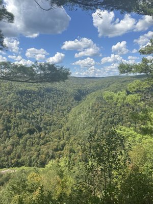 THE PENNSYLVANIA GRAND CANYON - Updated May 2026 - 36 Photos & 18 ...