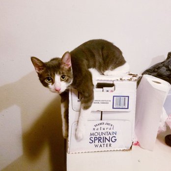 CG ROXANE WATER - Updated September 2025 - 303 Crystal Geyser Ln ...