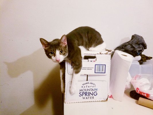 CG ROXANE WATER - Updated September 2025 - 303 Crystal Geyser Ln ...