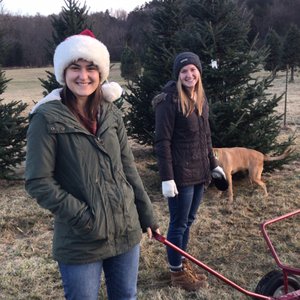 SNICKERS GAP CHRISTMAS TREE FARM - TEMP. CLOSED - Updated January 2025 ...
