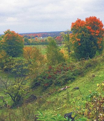 SCENIC ORCHARD - Updated December 2025 - Fall Creek, Wisconsin - Pick ...