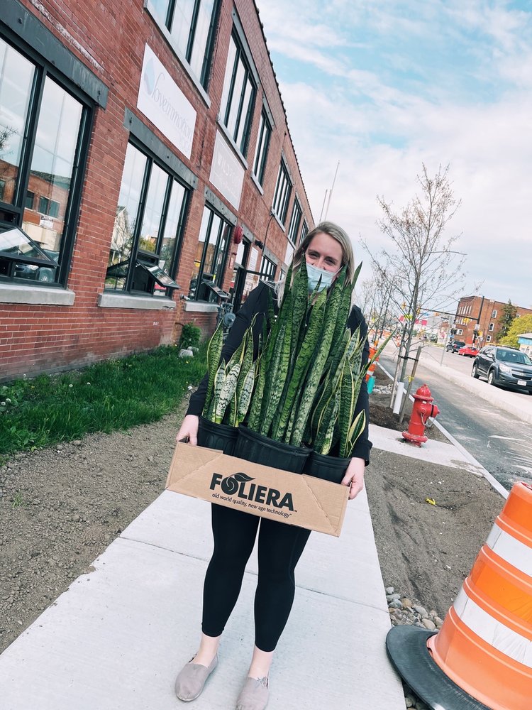 DADDY’S PLANTS - Updated April 2025 - 31 Photos & 22 Reviews - 1250 ...