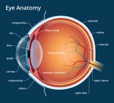 OREGON EYE CONSULTANTS - Updated October 2025 - 10 Photos - 78 Reviews ...