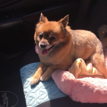 STYLE MUTT - Updated December 2025 - 33 Photos & 74 Reviews - 3525 ...