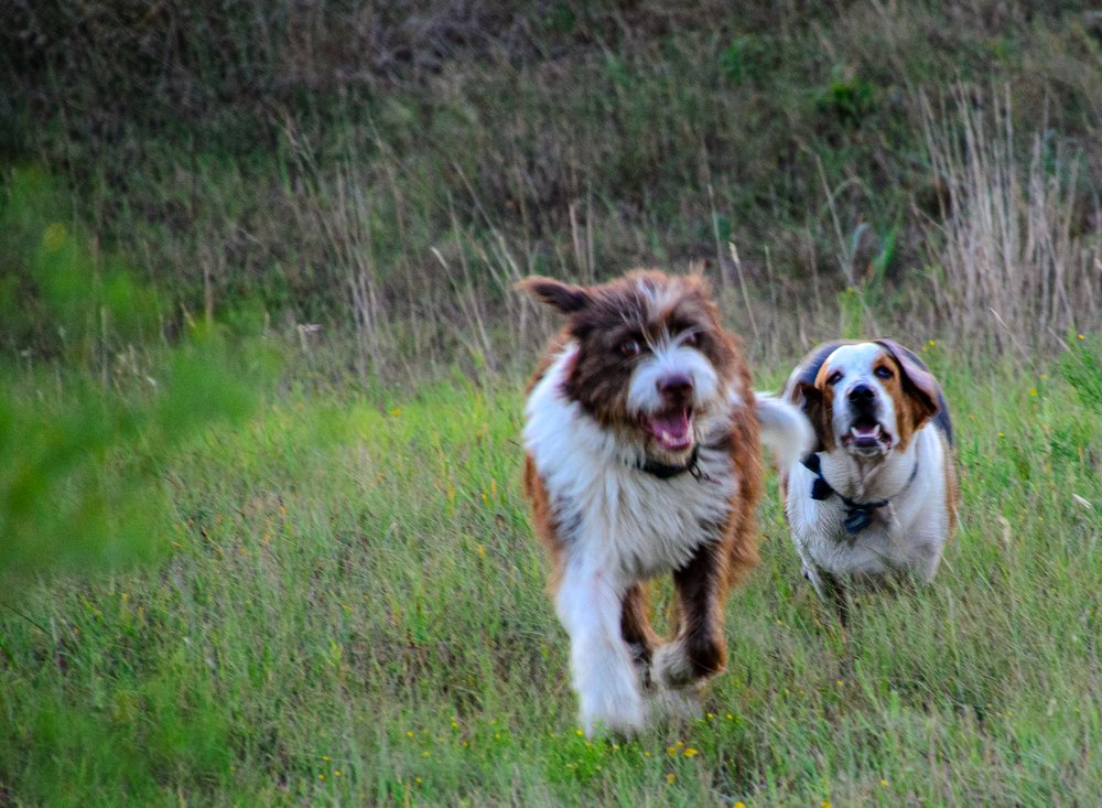 JEFFREY WITH - REMAX T-TOWN - Contact Agent - 1768 S Utica Ave, Tulsa ...