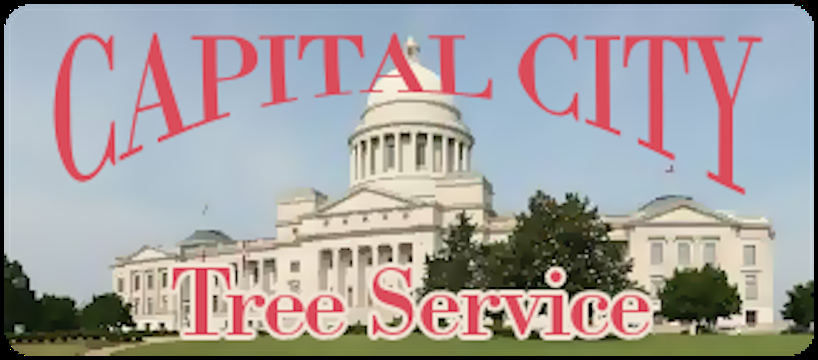 CAPITAL CITY TREE SERVICE - Updated January 2026 - 10 Reviews - 650 S ...