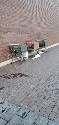 BEAVERTON CITY LIBRARY - Updated November 2025 - 104 Photos & 65 ...