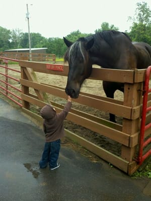 SUSON PARK - Updated October 2025 - 159 Photos & 42 Reviews - 6059 ...