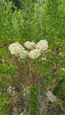 UCI RESEARCH PARK - Updated December 2025 - 20 Photos - 5301 California ...
