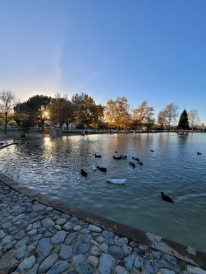 TEMECULA DUCK POND - 260 Photos & 80 Reviews - 28250 Rancho California ...