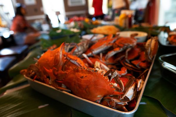 THE SHELLFISH COMPANY - Updated November 2024 - 336 Photos & 26 Reviews ...