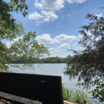 BLEDSOE CREEK STATE PARK - Updated January 2026 - 82 Photos & 28 ...