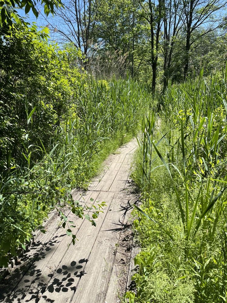 WHITEBROOK NATURE AREA - Updated September 2025 - 24 Photos - 250 ...