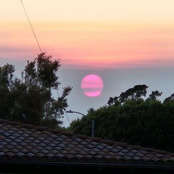 DELI NERDS - Updated July 2025 - 148 Photos & 42 Reviews - 1525 Mesa ...