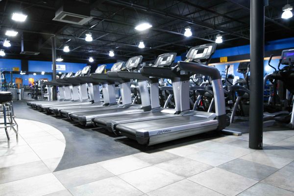 HAMMERHEAD GYM - Updated January 2026 - 21 Photos - 1013 Cape Coral ...