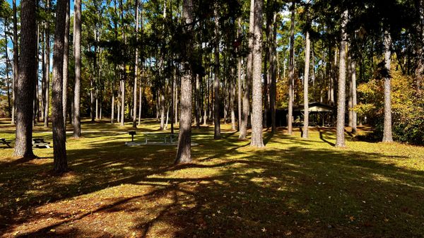 CHESTER STATE PARK - Updated October 2024 - 35 Photos & 11 Reviews ...