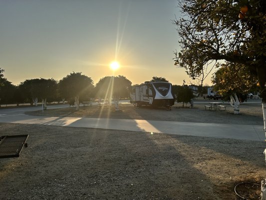 ORANGE GROVE RV PARK - Updated November 2025 - 94 Photos & 150 Reviews ...