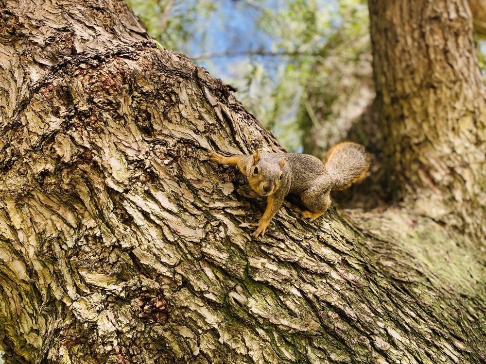 CARBON CANYON REGIONAL PARK - Updated July 2025 - 1363 Photos & 335 ...
