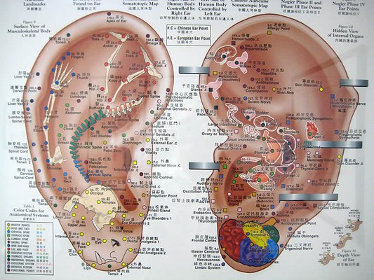 BILL RICE DC, LAC, DCBCN - GARDENS WHOLISTIC HEALTH CENTER - Updated ...