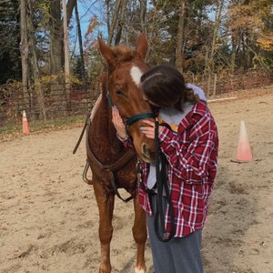 MUSTANG MEADOW - Updated November 2025 - 10 Photos - 571 Quaker Farms ...