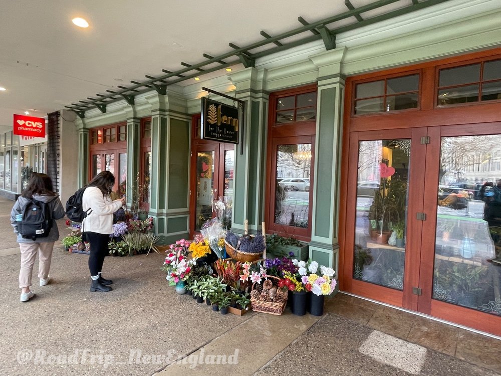 FERN BY BOSTON ROSE FLORIST - Updated February 2026 - 113 Photos & 139 ...