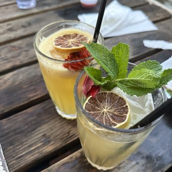 DARLING AVIARY - Updated July 2024 - 716 Photos & 546 Reviews - 712 K ...