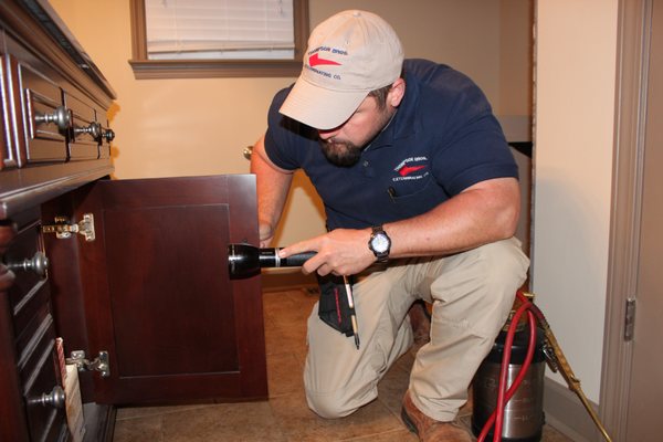 THOMPSON BROTHERS EXTERMINATING AND WATERPROOFING - Updated November ...