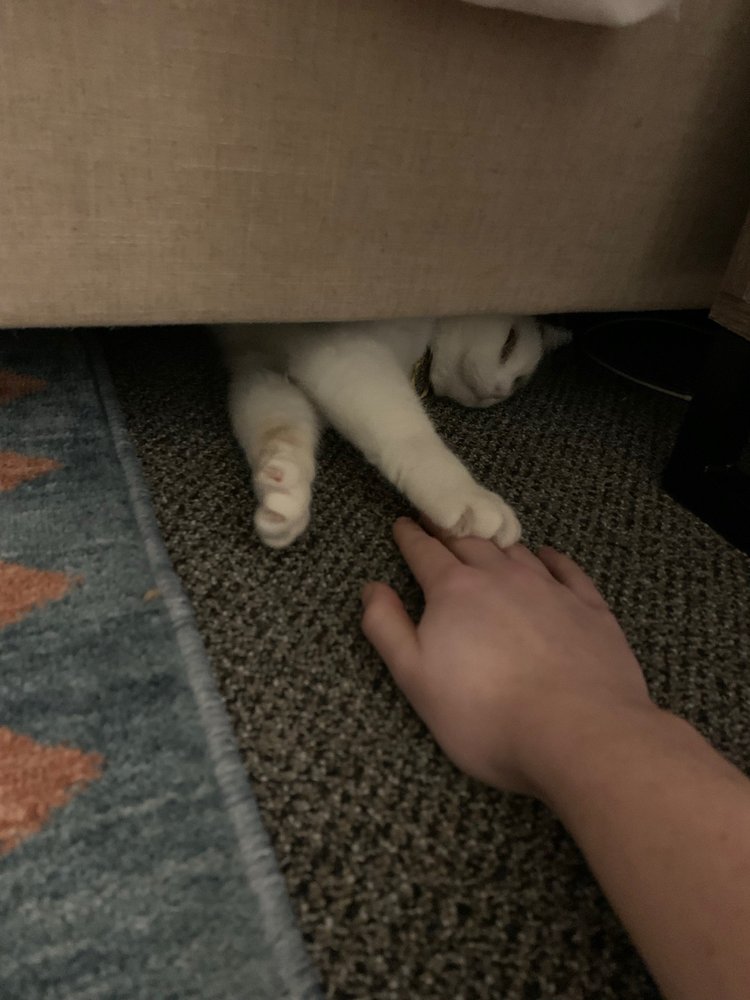 OREGON HUMANE SOCIETY near you at 1067 NE Columbia Blvd, Portland ...